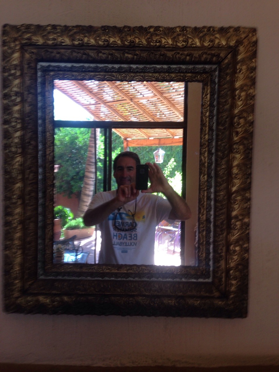 - Michael DeLapa Consulting